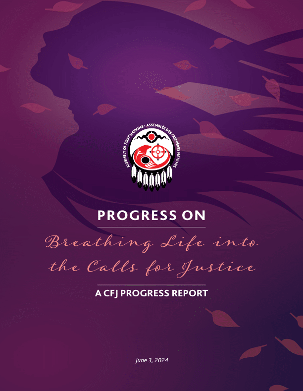 Assembly of First Nations: Progress on Breathing Life into the Calls ...
