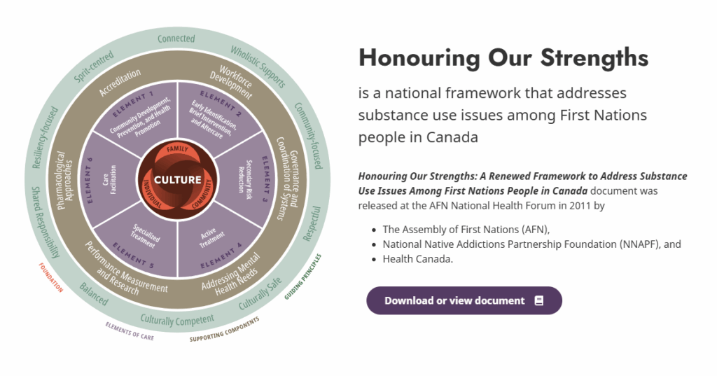 Honouring Our Strengths: Indigenous Child Wellness Framework ...